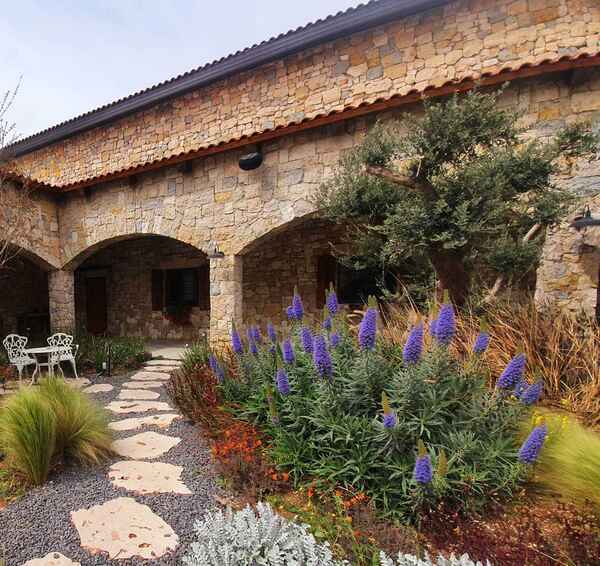 חוות דעת על יקב פסגות מאת שירה | חתונה 30/11/2025