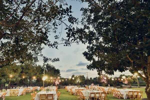 חוות דעת על מטעים - גני רמת הנדיב מאת Sagit | בר מצווה 25/12/2025